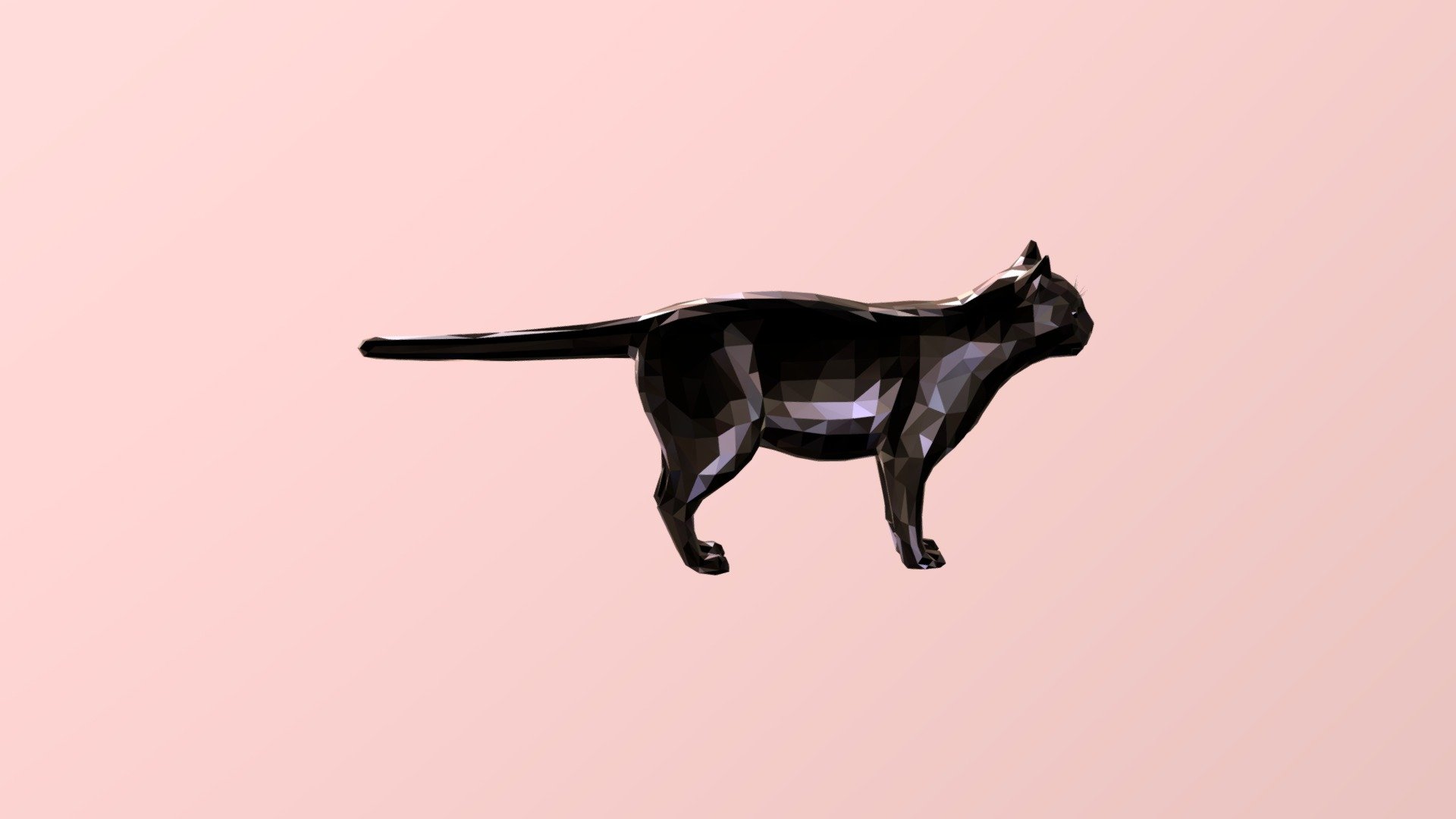 Cat - 3D model by sehribansorge [aab6315] - Sketchfab