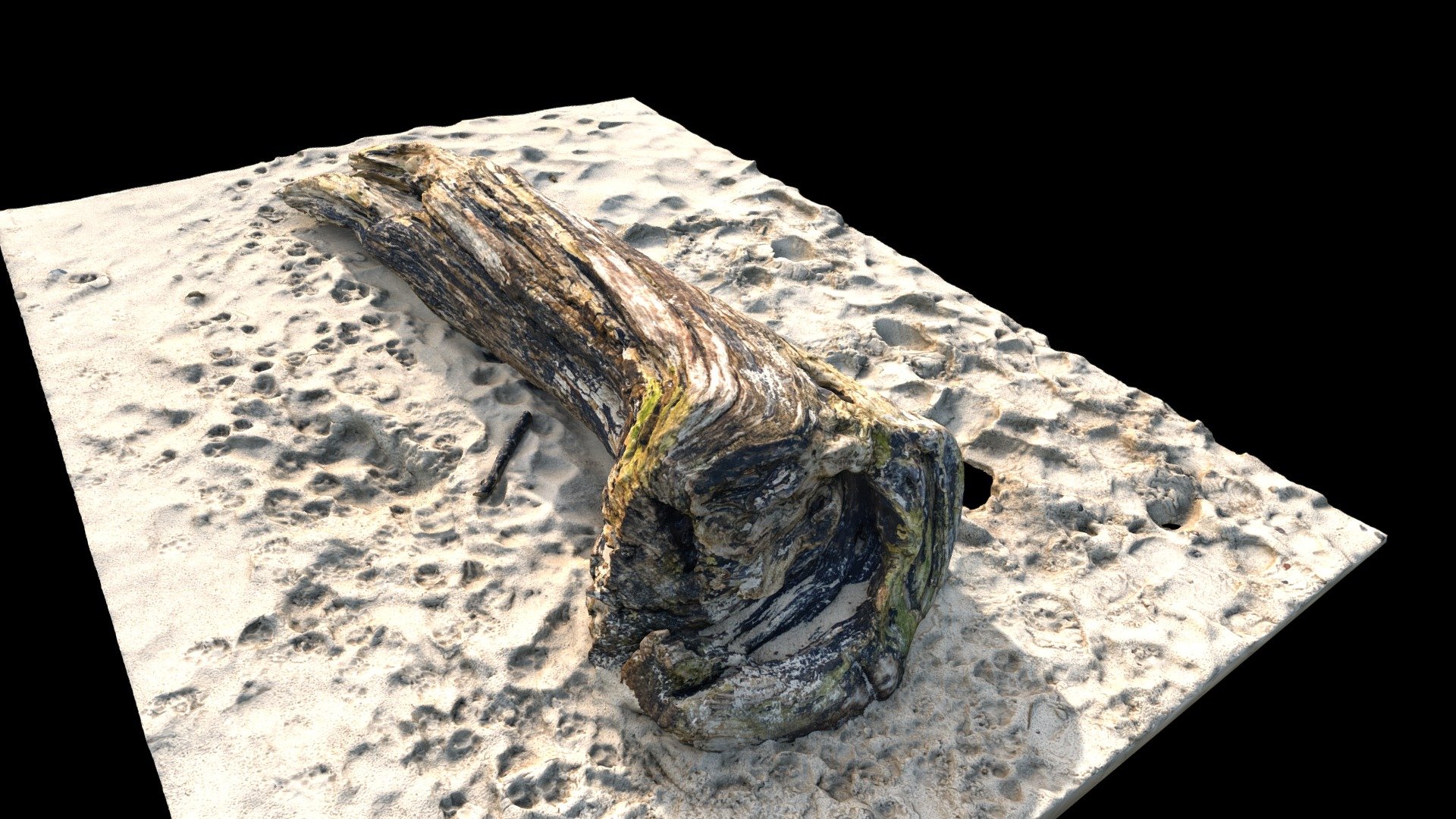 Seaside Log Photoscan - Buy Royalty Free 3D model by Cathouse [aab8652 ...