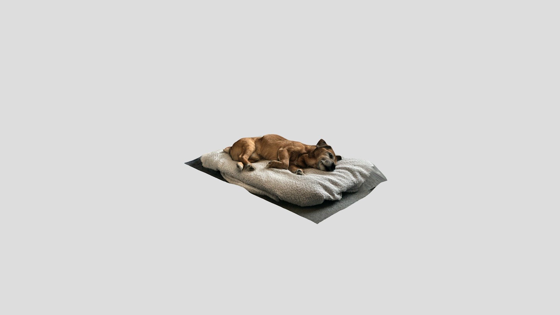 Tyke4 - Download Free 3D model by TykeHunt18 [aac13b2] - Sketchfab