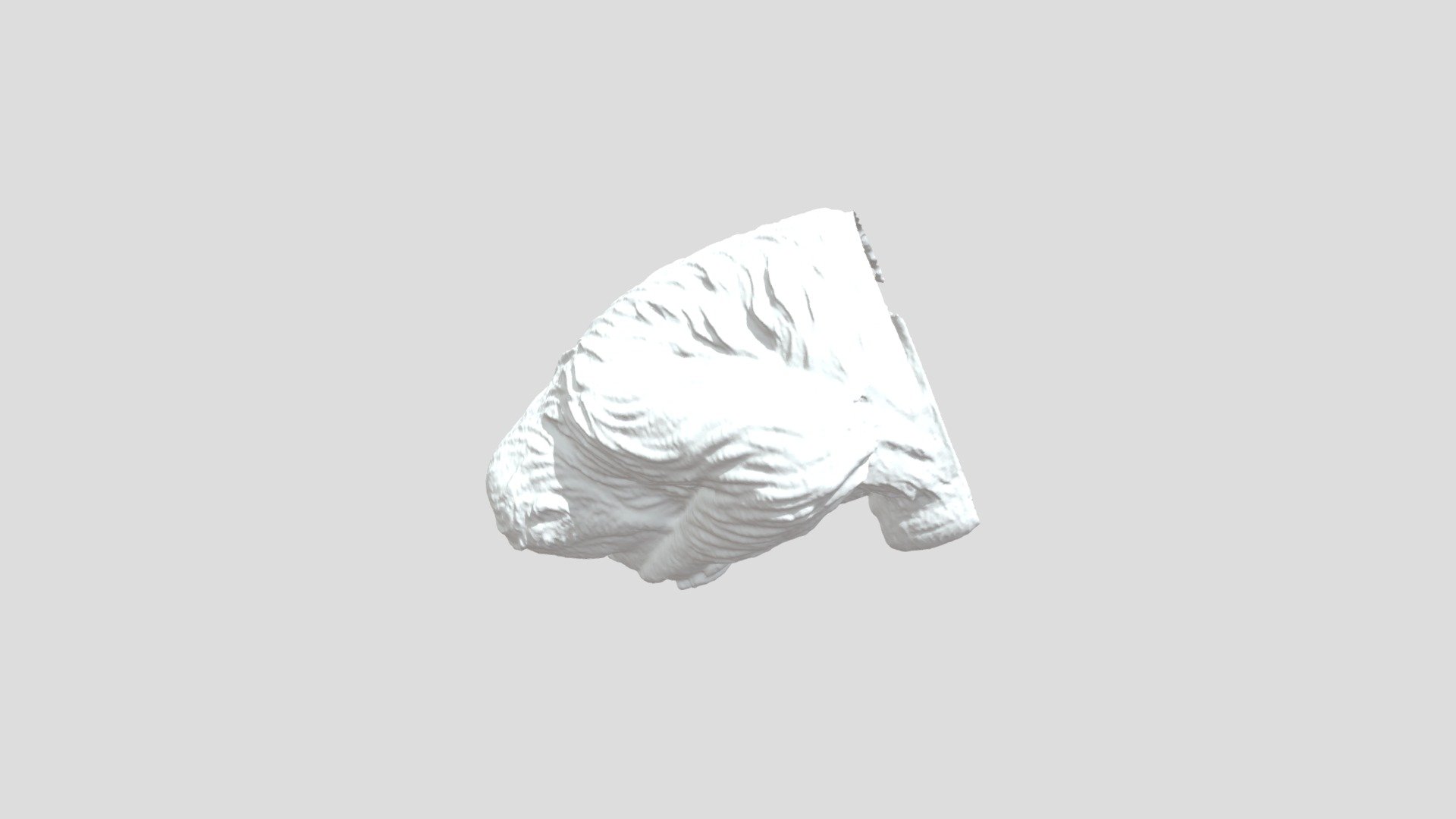 Whale Monkey Scan 3 - Download Free 3D model by Marvel3D [aac3544 ...