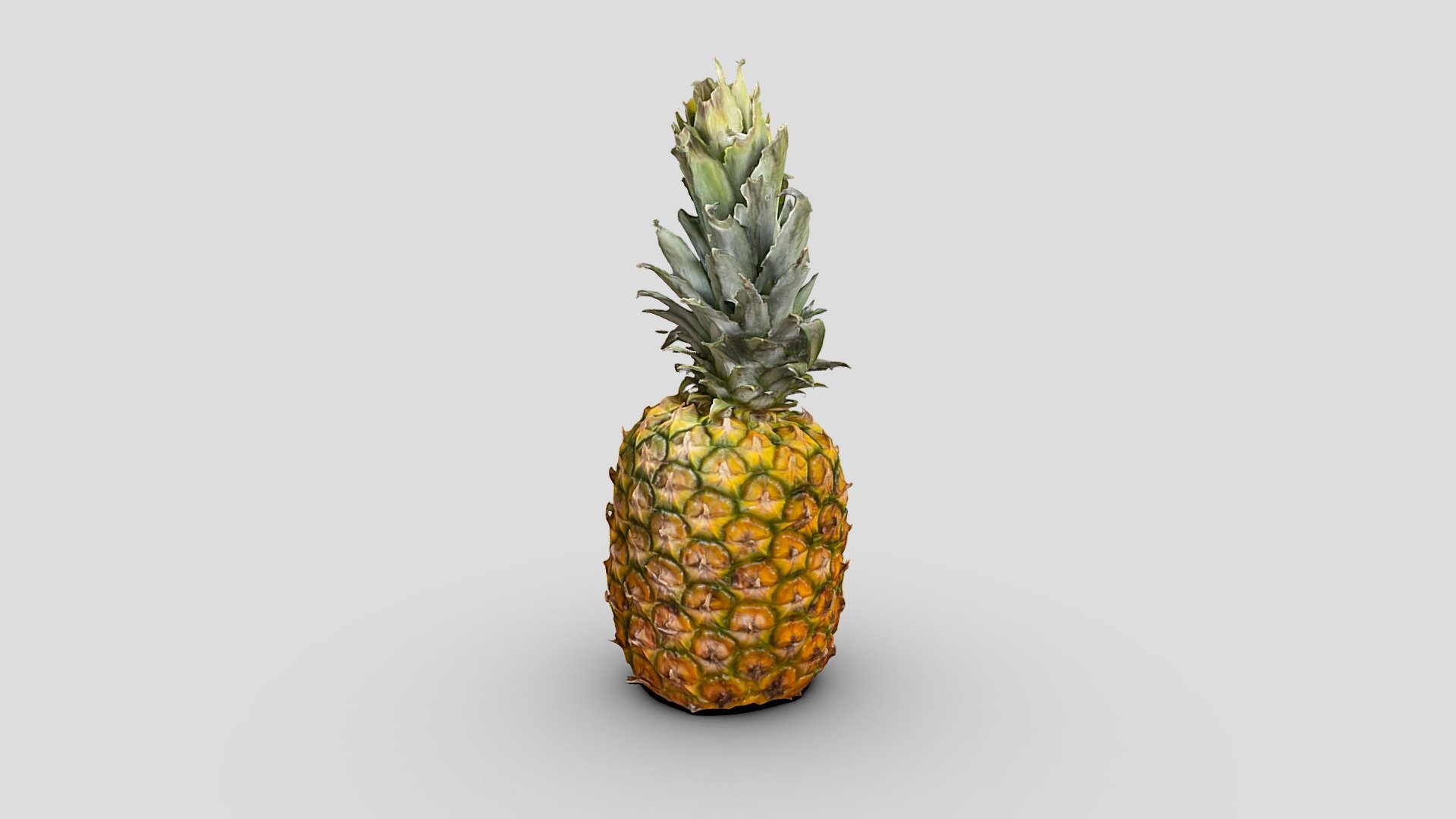 Pineapple - Download Free 3D model by alban [aac4711] - Sketchfab