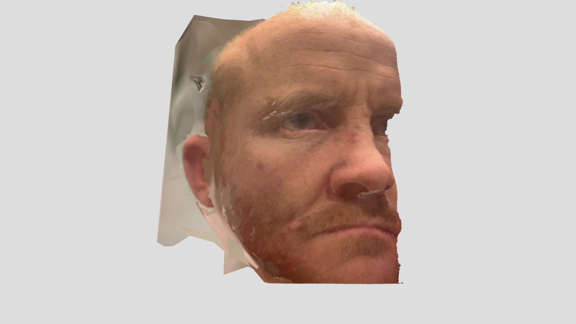 half face - Download Free 3D model by n1deeprudy [aac5e5e] - Sketchfab