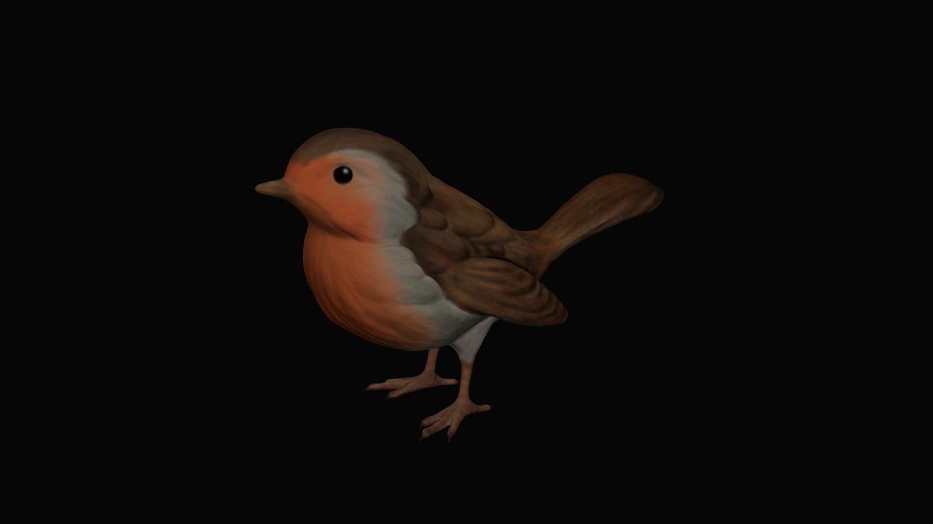 ZBrush Sculpt 2: Robin - Download Free 3D model by cedes [aacc447 ...