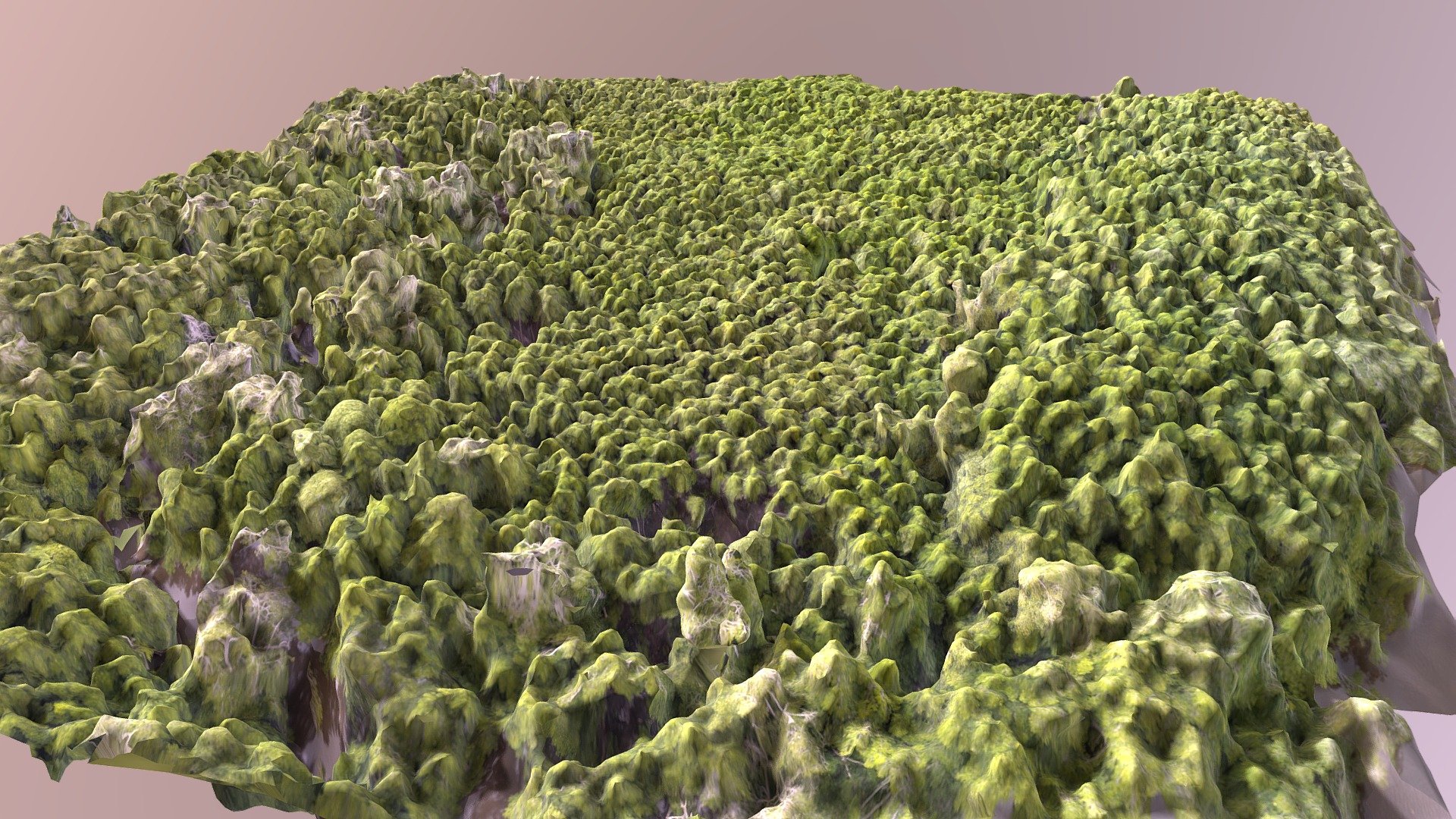 Naturally recovering mangrove forest - 3D model by Ben Fitzpatrick ...