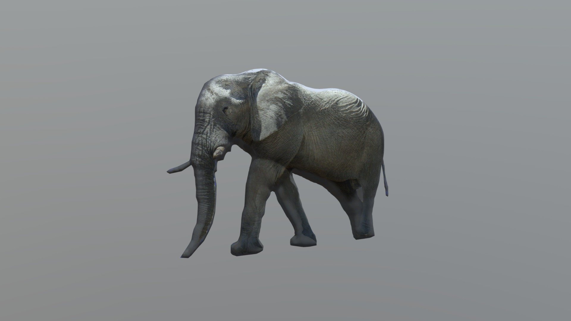 Gajah - 3D model by sudirmansmansamar [aacefa1] - Sketchfab