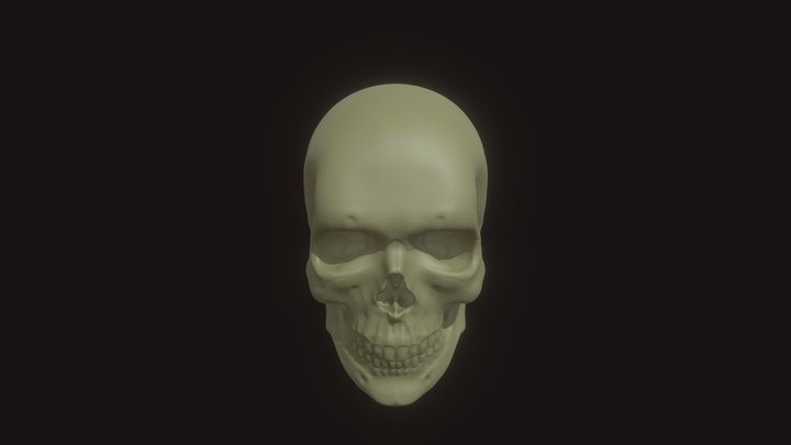 Lebka 3D models - Sketchfab