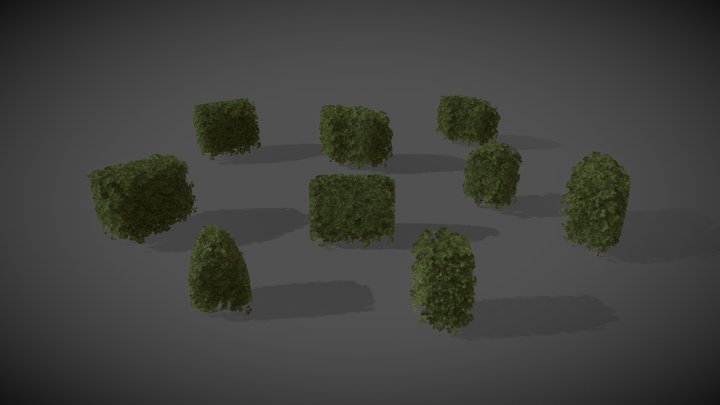 Hedges 3D models - Sketchfab