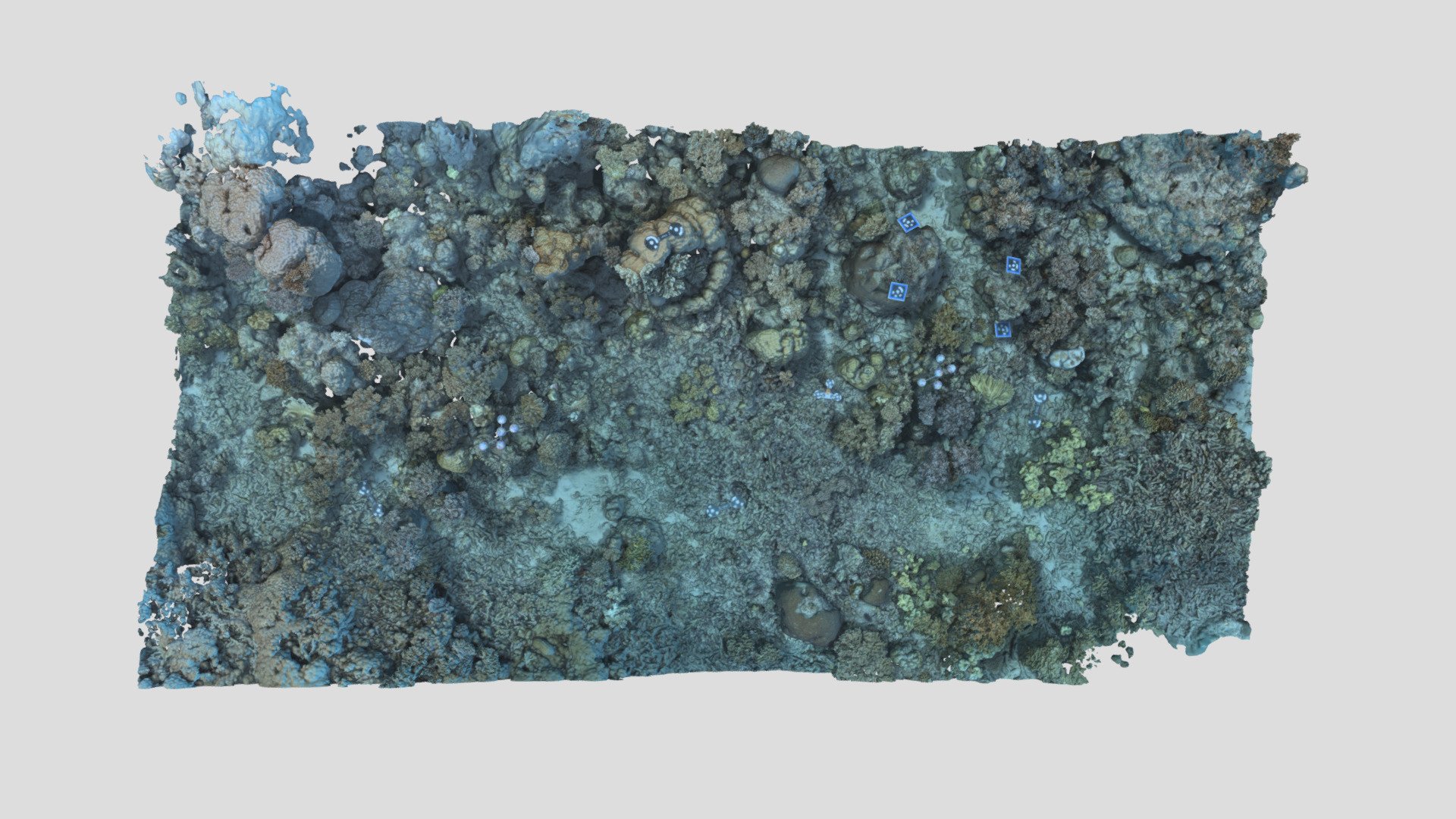 Masig_FR1S_P1_202203 - Download Free 3D model by EcoRRAP (@AIMSEcoRRAP ...