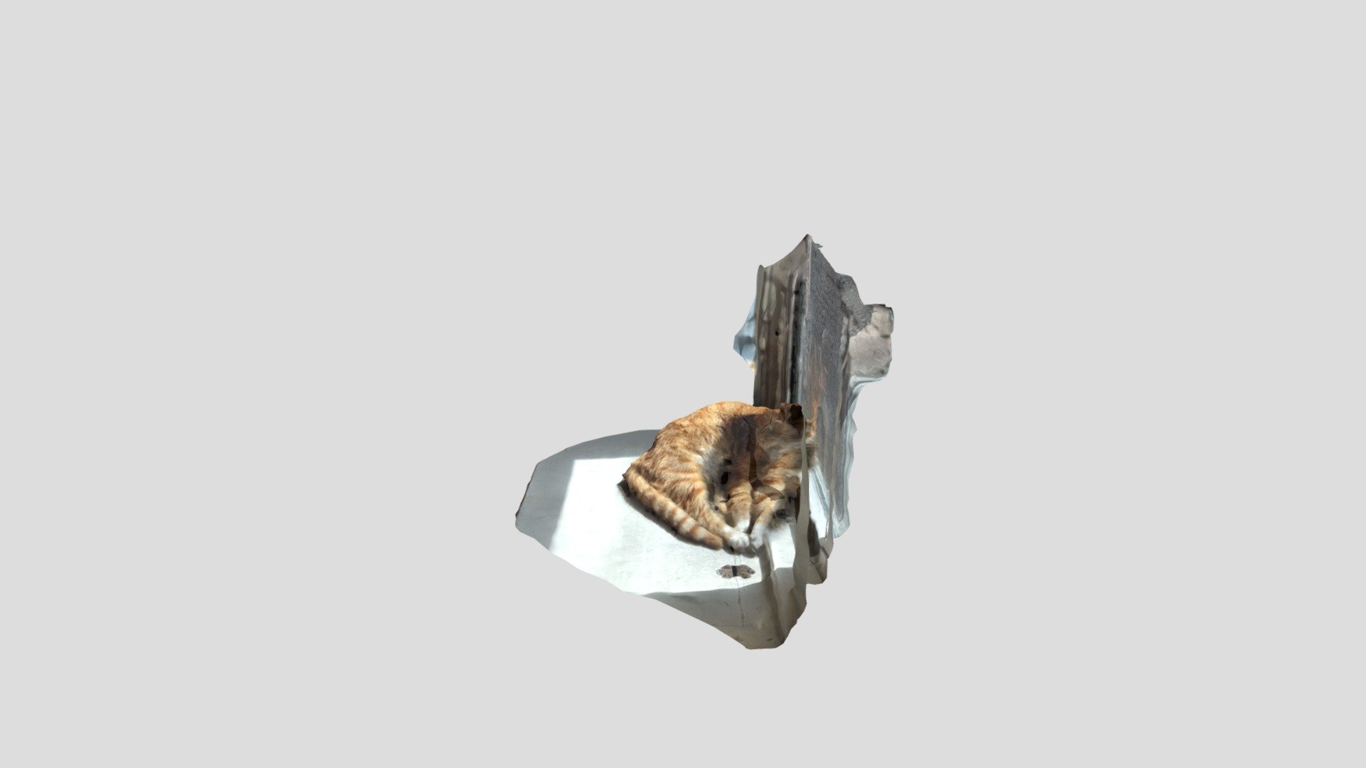 Sanok_ Cat_ Scan - 3D model by bsanok [aadc40f] - Sketchfab