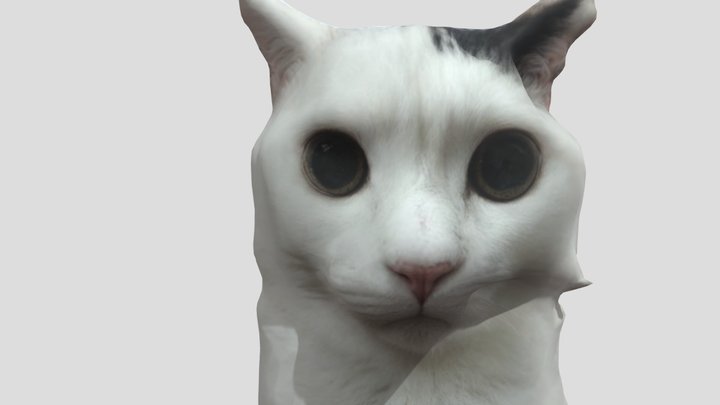 Regretevator 3D models - Sketchfab