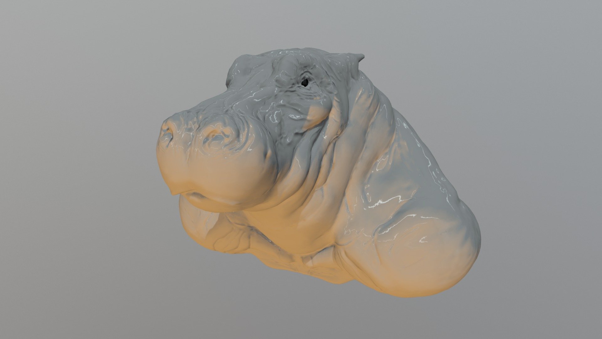 Hippo - Download Free 3D model by rhuvenciyo [aae1df2] - Sketchfab