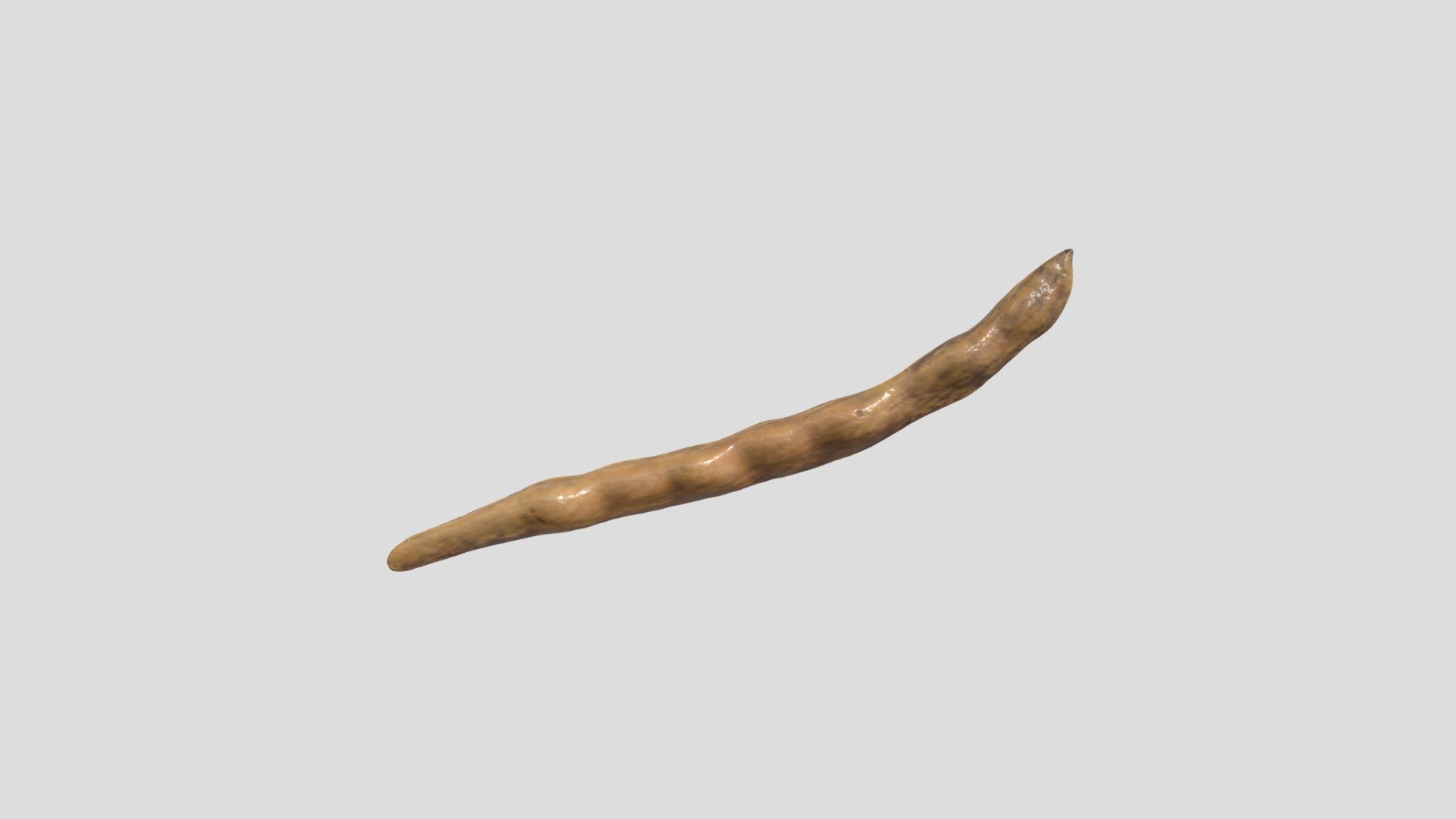 Tutelo Bean Pod - Download Free 3D model by VT Indigenous Community ...
