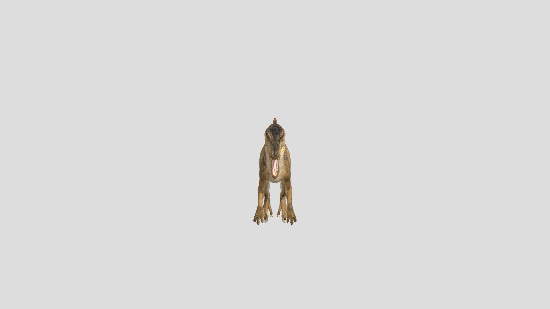 Spinoraptor Jurassic wolrd evolution - Download Free 3D model by Dodogamer (@lazaronogueira832 ...