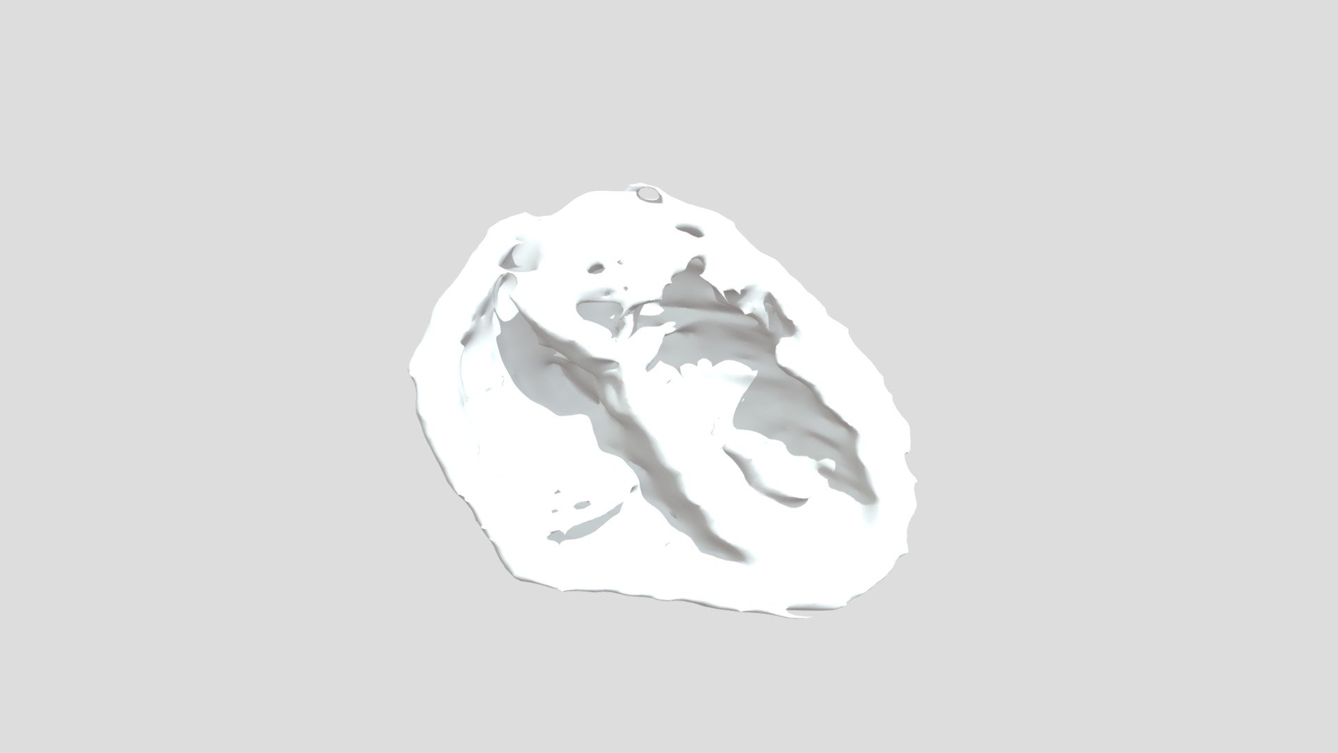Segmentation_internal structure - 4 chamber - 3D model by ...
