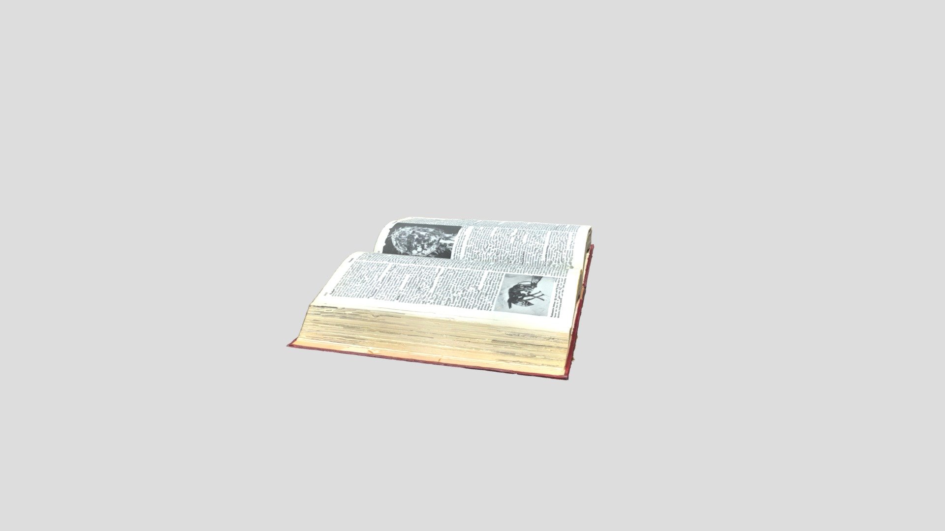 Open Book - Buy Royalty Free 3D model by Daniel.Dana.Art [aaecd2b ...