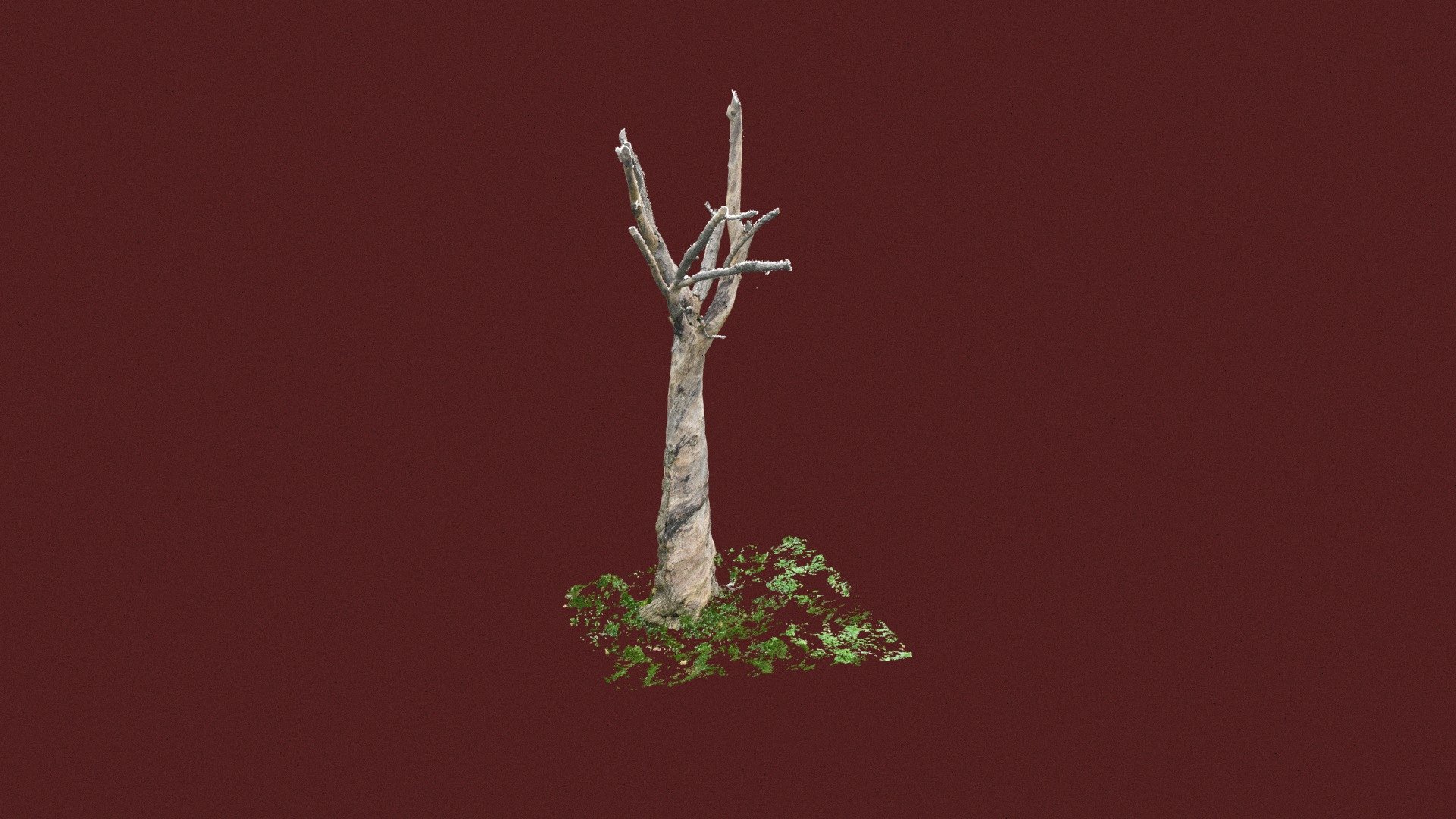 Dead.Tree.ButePark - 3D model by Vision Fountain (@visionfountain ...