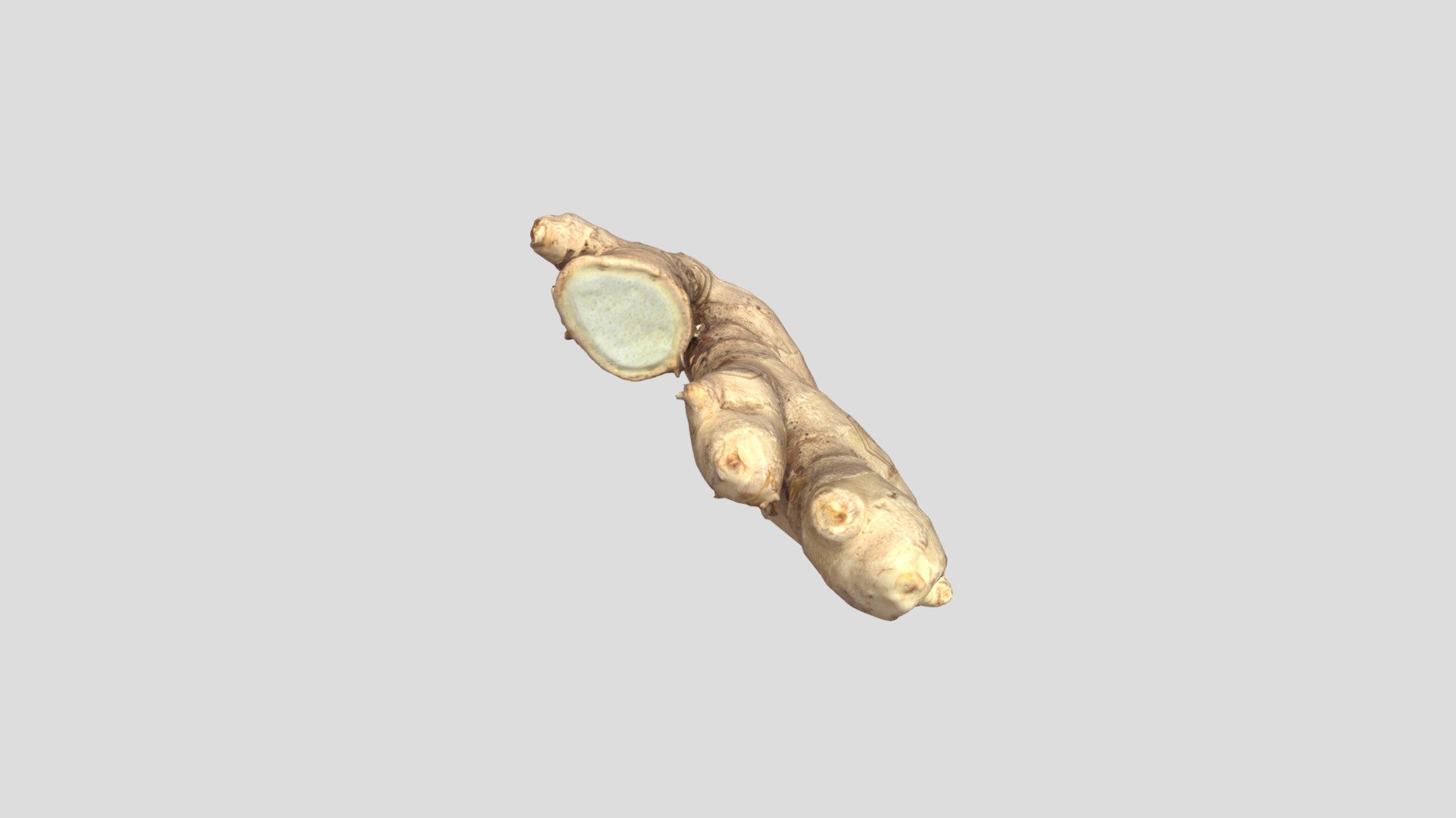 Ingwer - Download Free 3D model by elena99 (@elenapaul) [aaef928 ...