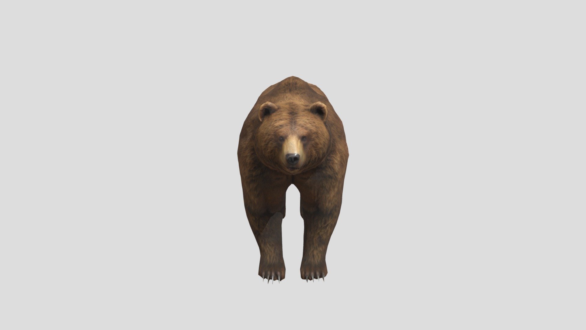 Bear - Download Free 3D model by parker25 [aaf879b] - Sketchfab