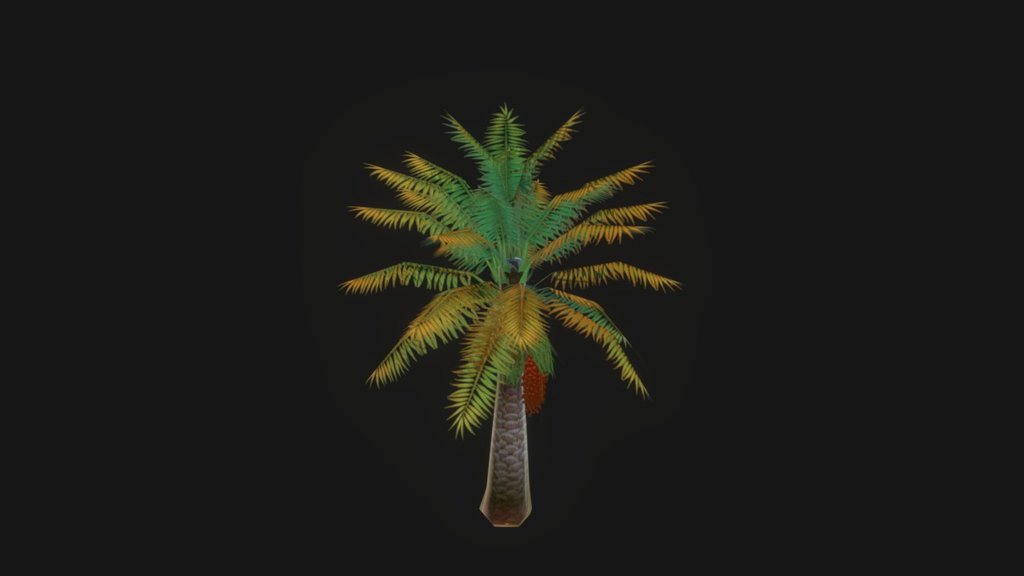 Palm Tree - 3D model by GORSHKOV [aafd805] - Sketchfab