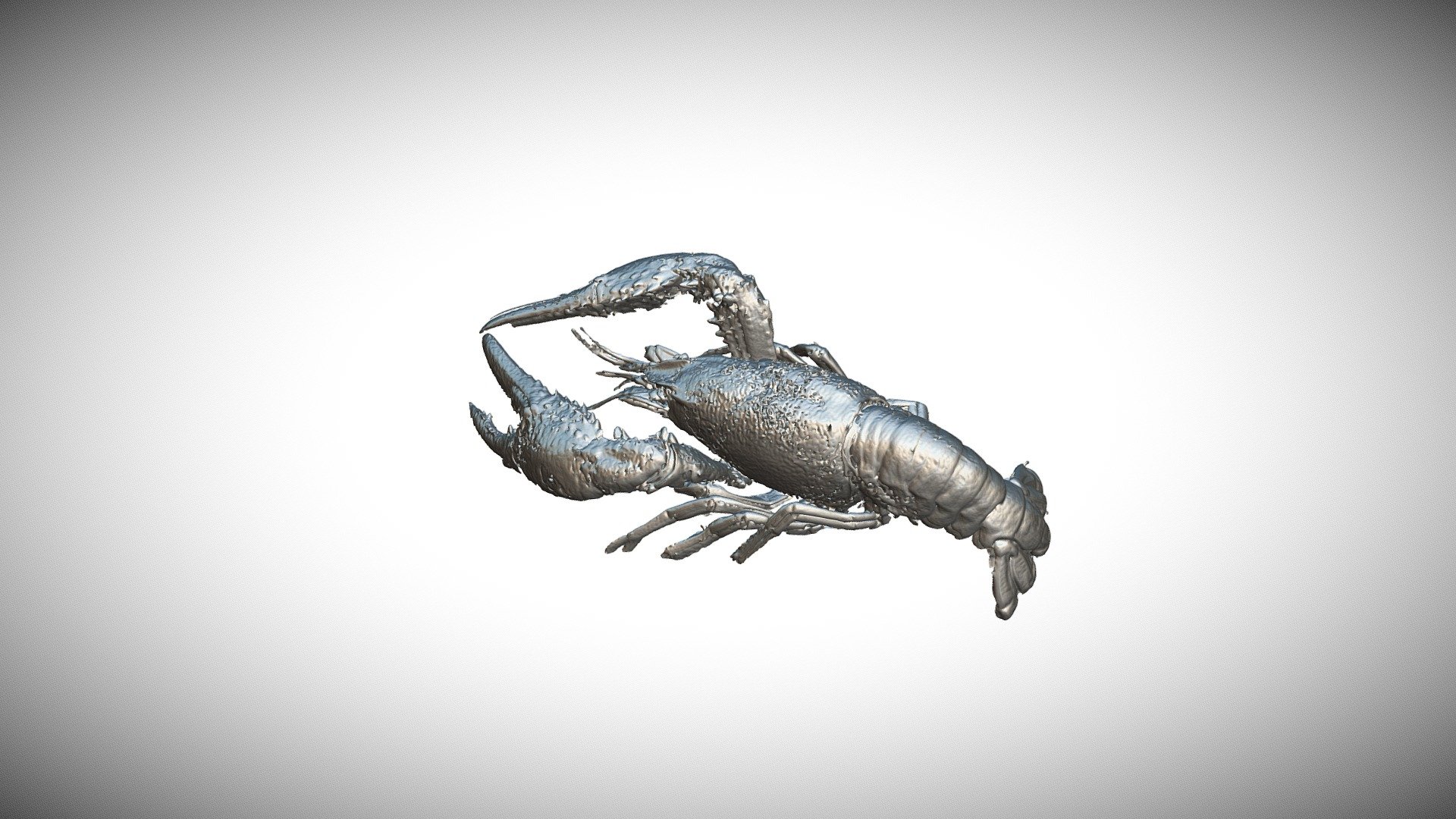 Lobster - Download Free 3D model by thunk3d.scanner [ab013eb] - Sketchfab