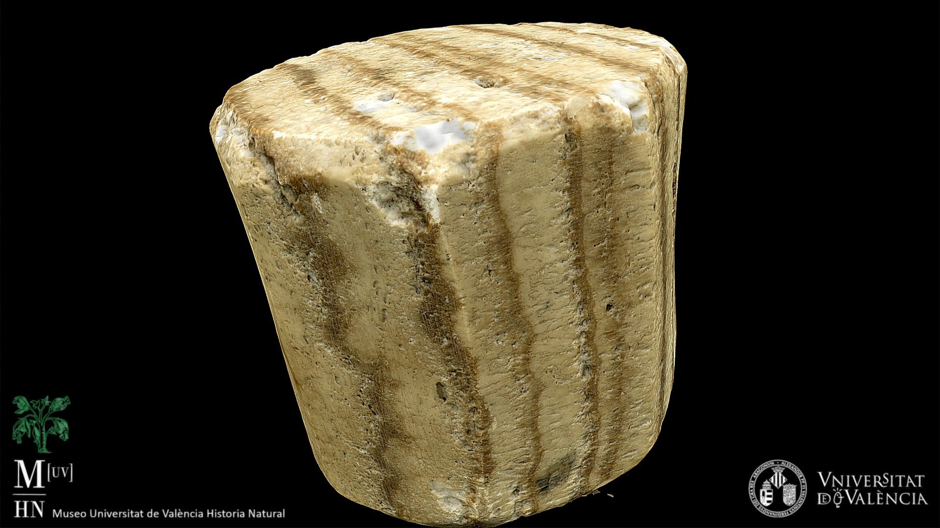 Travertine rock - Download Free 3D model by Museo [UV] Historia Natural ...