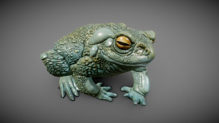 Amphibian 3D models - Sketchfab