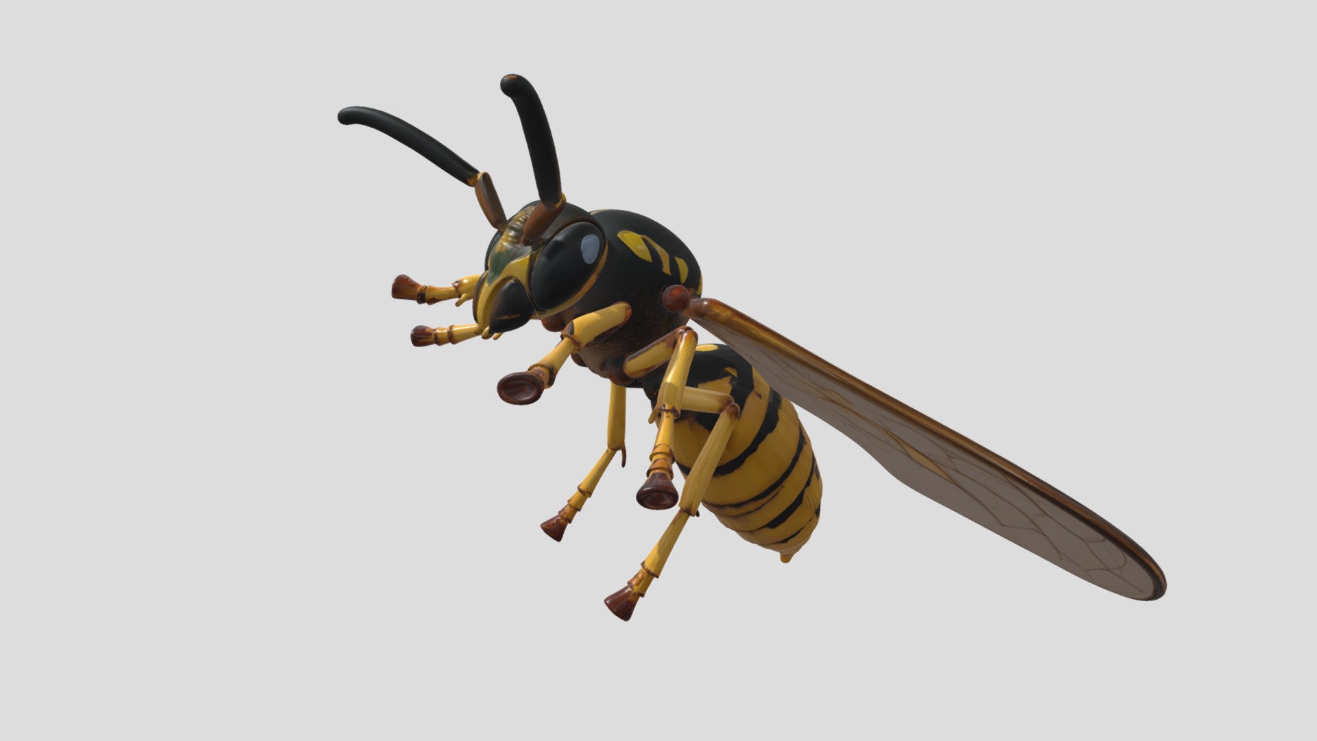 Wasp Realistic 3D Model - 3D model by Lolo909 [ab0bb4e] - Sketchfab