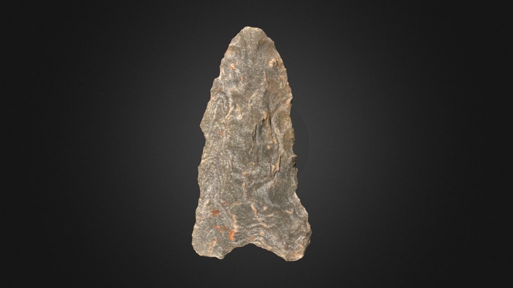 Hardaway Blade (690a471) - Download Free 3D model by RLA Archaeology (@rla-archaeology) [ab122d0 ...