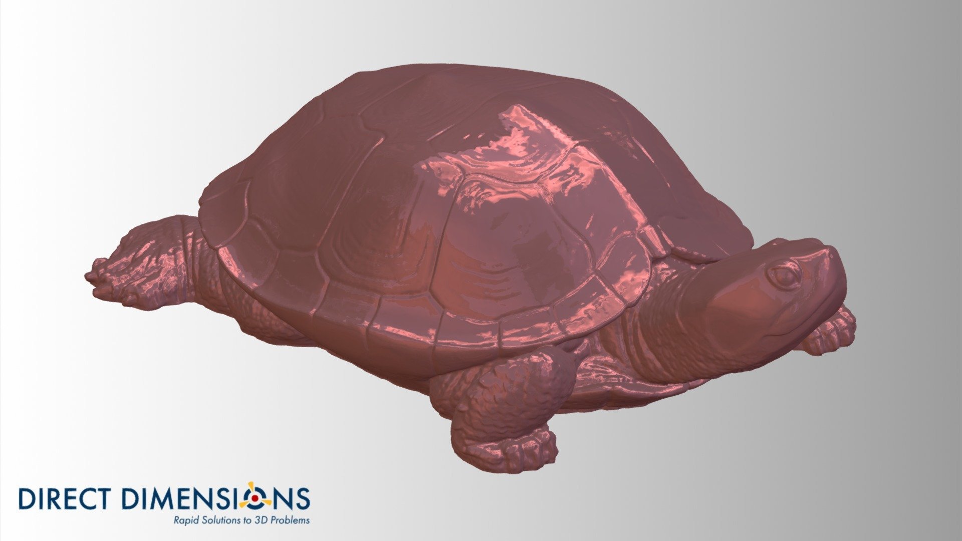 University of Maryland Testudo Statue - Download Free 3D model by ...