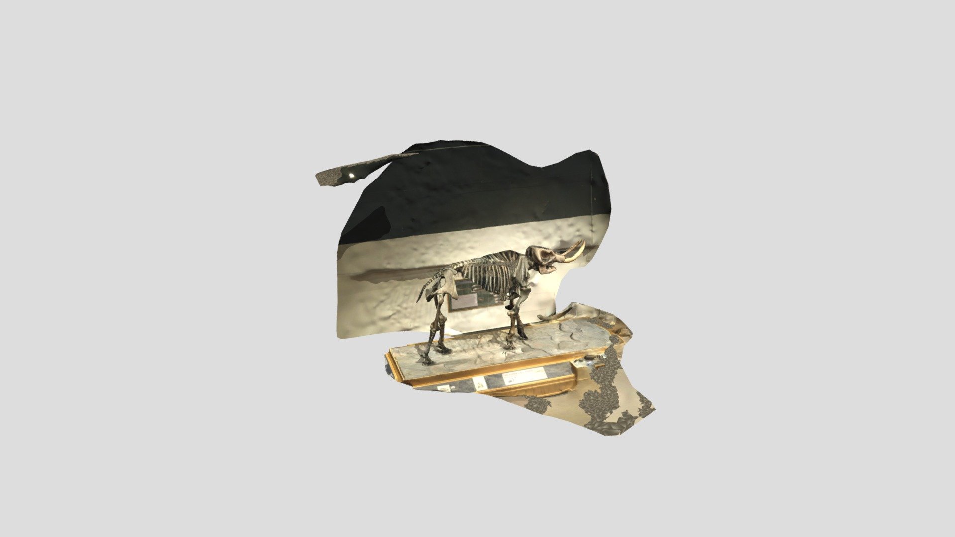 Cohoes Mastodon Skeletal Mount (VCU_3D_7414) - 3D model by Virtual ...