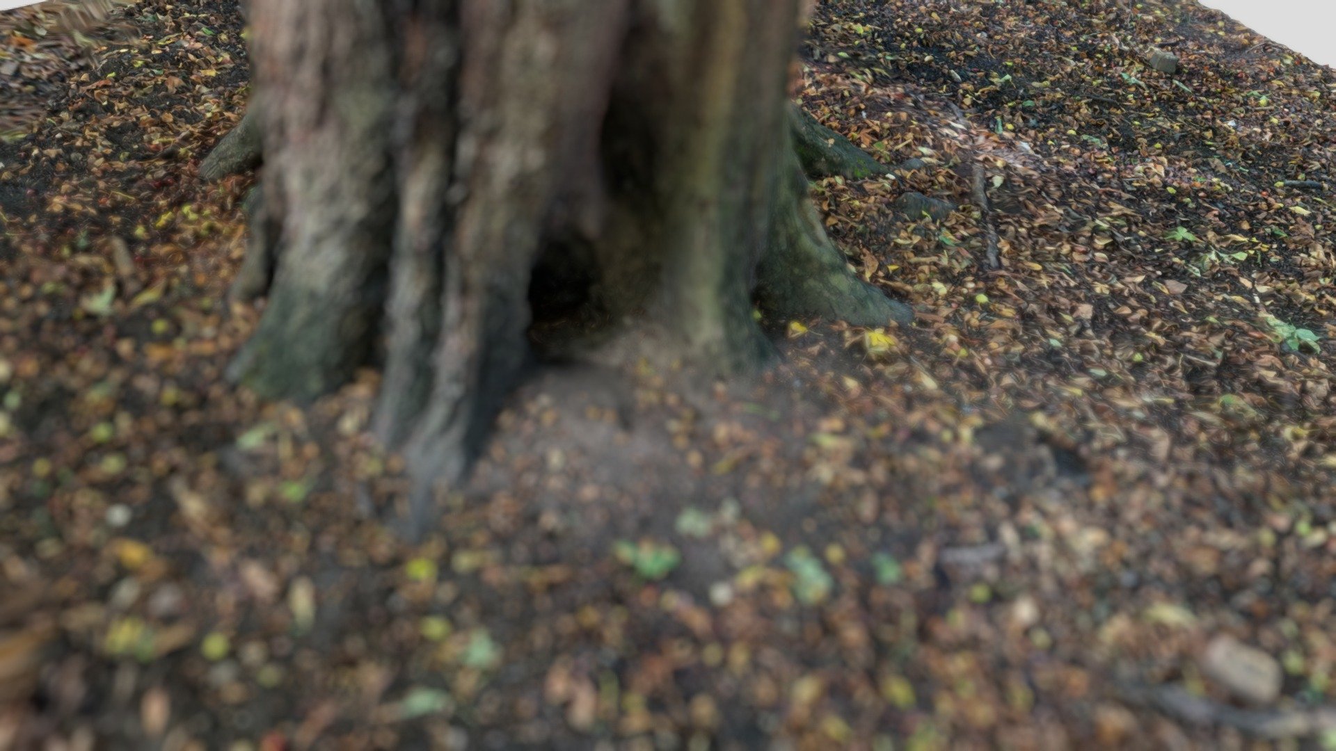 Conker tree priory park warwick - Buy Royalty Free 3D model by Alex ...