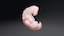 Human Embryo 4 Week - Download Free 3D model by aellis43 [ab17a7c ...