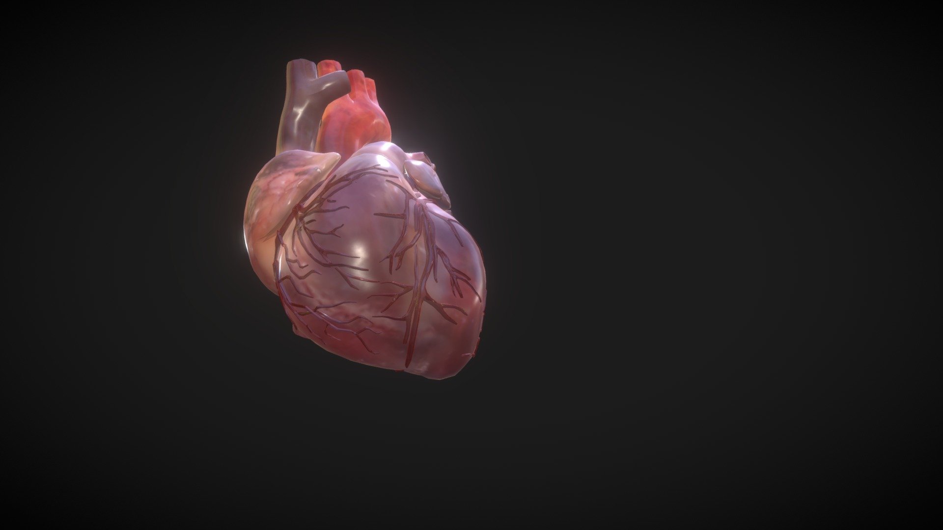 Heart Cycle - 3D model by Juan Arias (@BlackBoxLinfo) [ab26073] - Sketchfab
