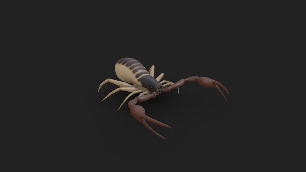 Insect - A 3D model collection by rodgercarr13601 - Sketchfab