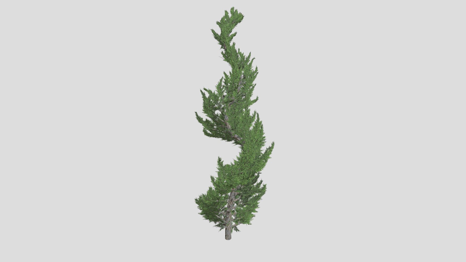 Hollywood Juniper Topiary Tree 02 - Buy Royalty Free 3D model by DATEC ...