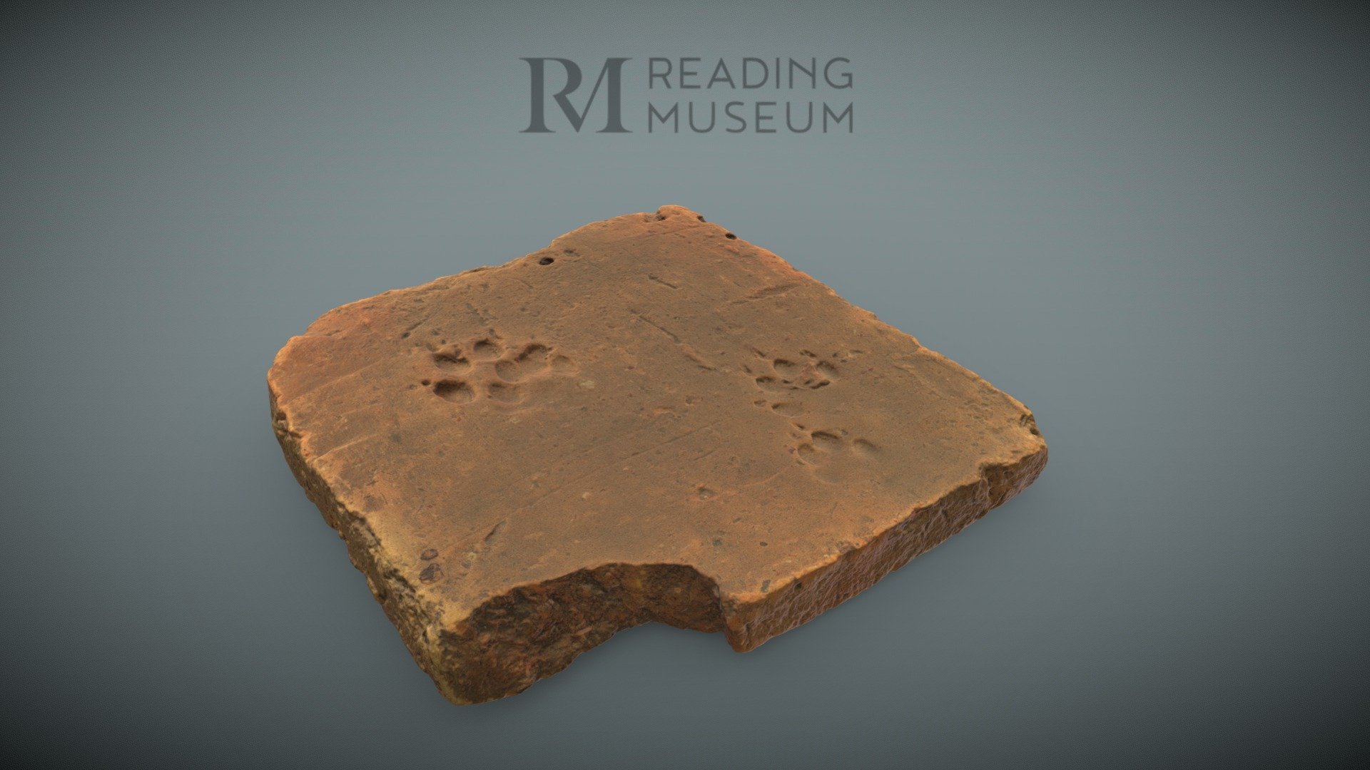 Roman tile with dog paw prints - 3D model by ReadingMuseum [ab41657 ...