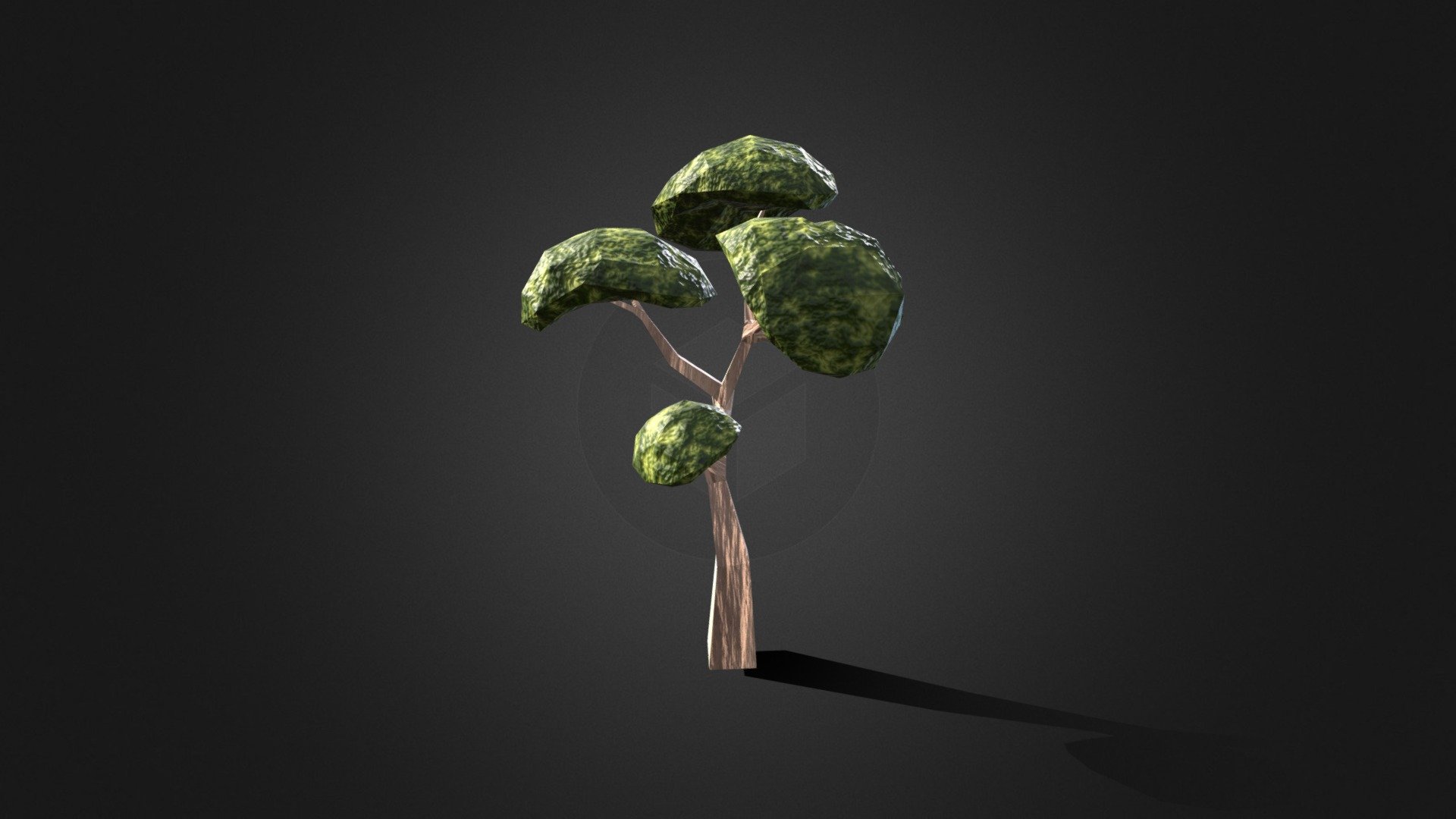 My first tree - Download Free 3D model by queenguan13 [ab480f6] - Sketchfab