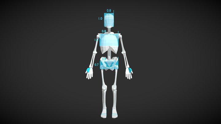 Male-skeleton 3D models - Sketchfab