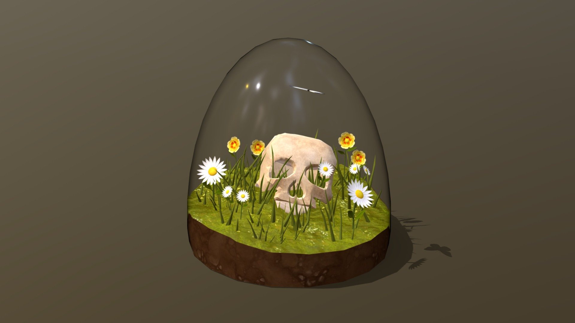 Skull Terarrium - Download Free 3D model by aelae [ab4c958] - Sketchfab
