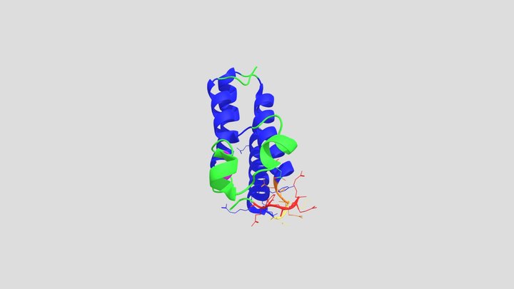 Histone 3D models - Sketchfab