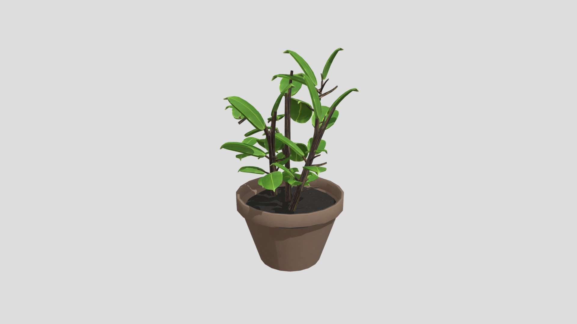 PLANT - Download Free 3D model by Stasia1014 [ab5b114] - Sketchfab