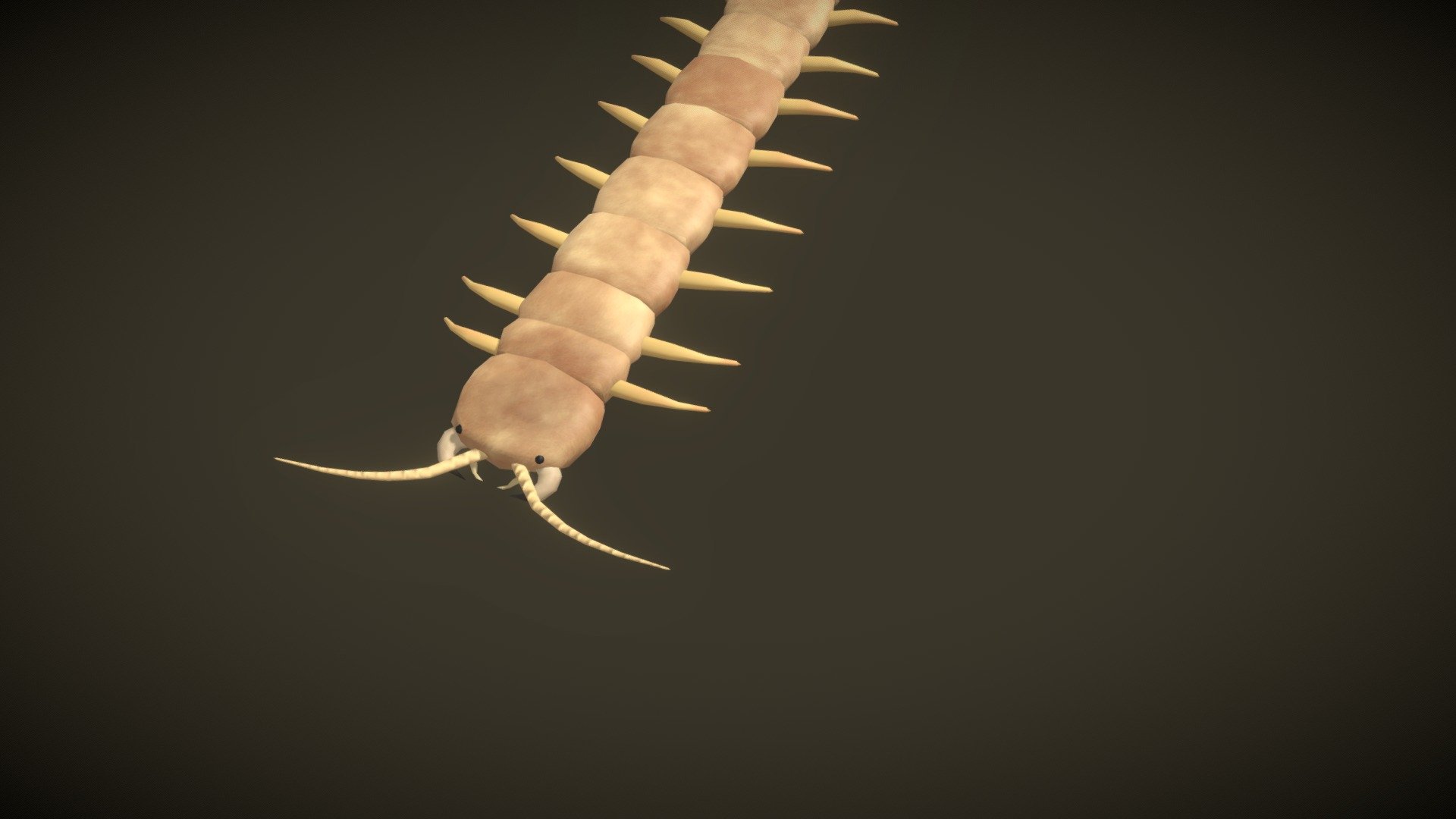 White Centipede - Buy Royalty Free 3D model by SR Studios Kerala ...