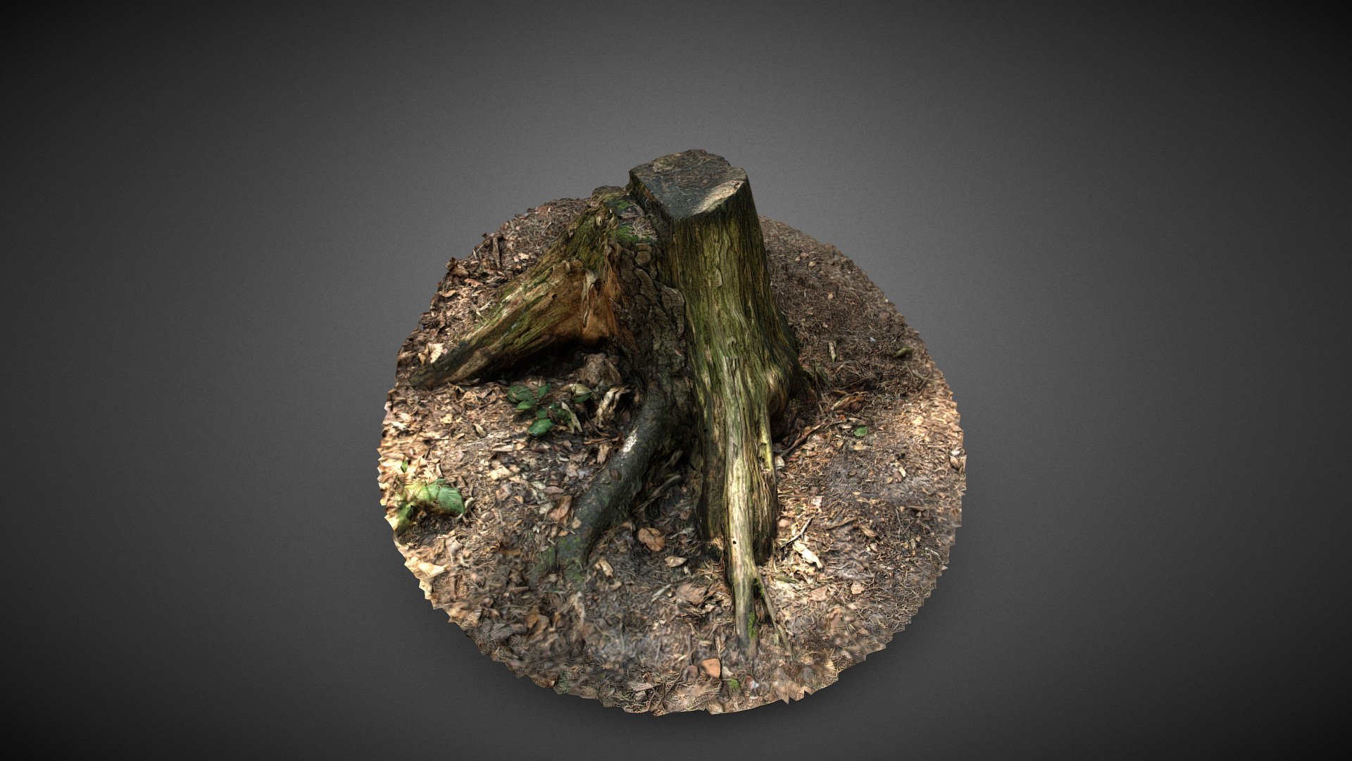 Tree stump - Download Free 3D model by Zygomir.Fabricati.Diem ...