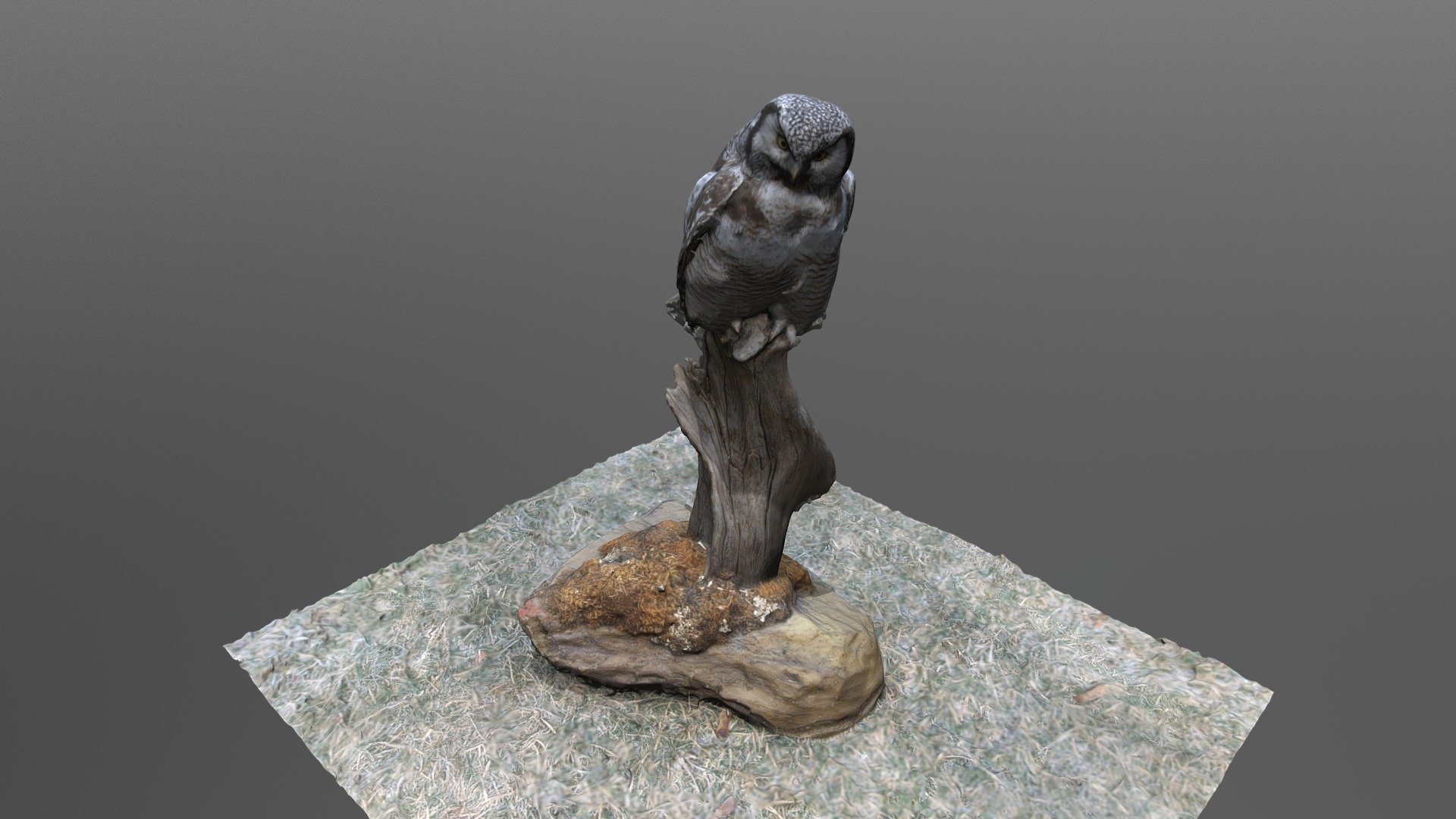 Ugle - Download Free 3D model by oddbjornlarsen [ab65929] - Sketchfab