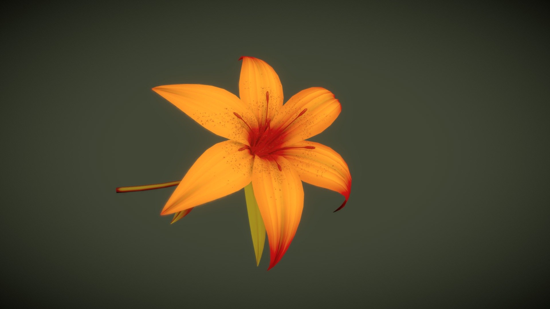Lily Uvw 3d Model By Iwo Pilc Immortalp [ab670cf] Sketchfab