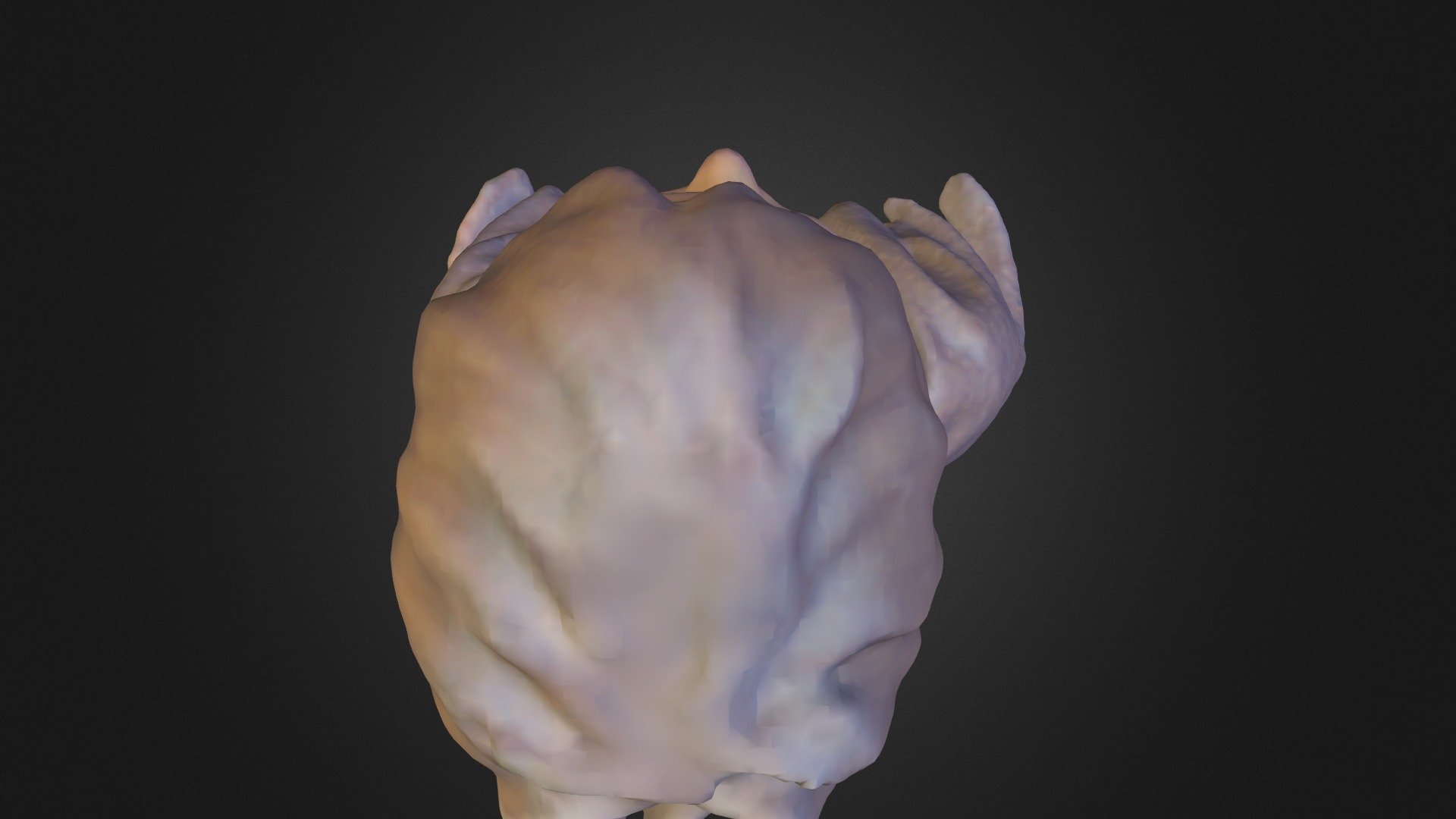 Bradolf Pitler - 3D model by windowsgadgetshow [ab6ede5] - Sketchfab
