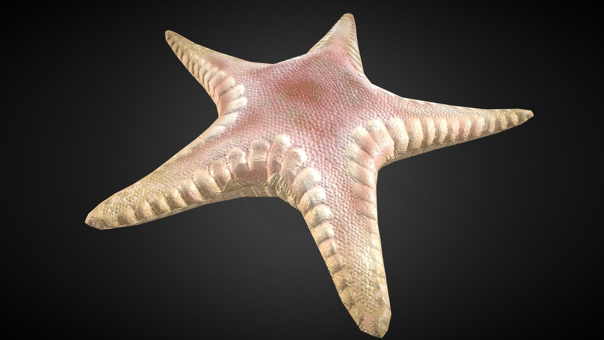 Star Fish Rigged - Buy Royalty Free 3D model by Armored Interactive ...