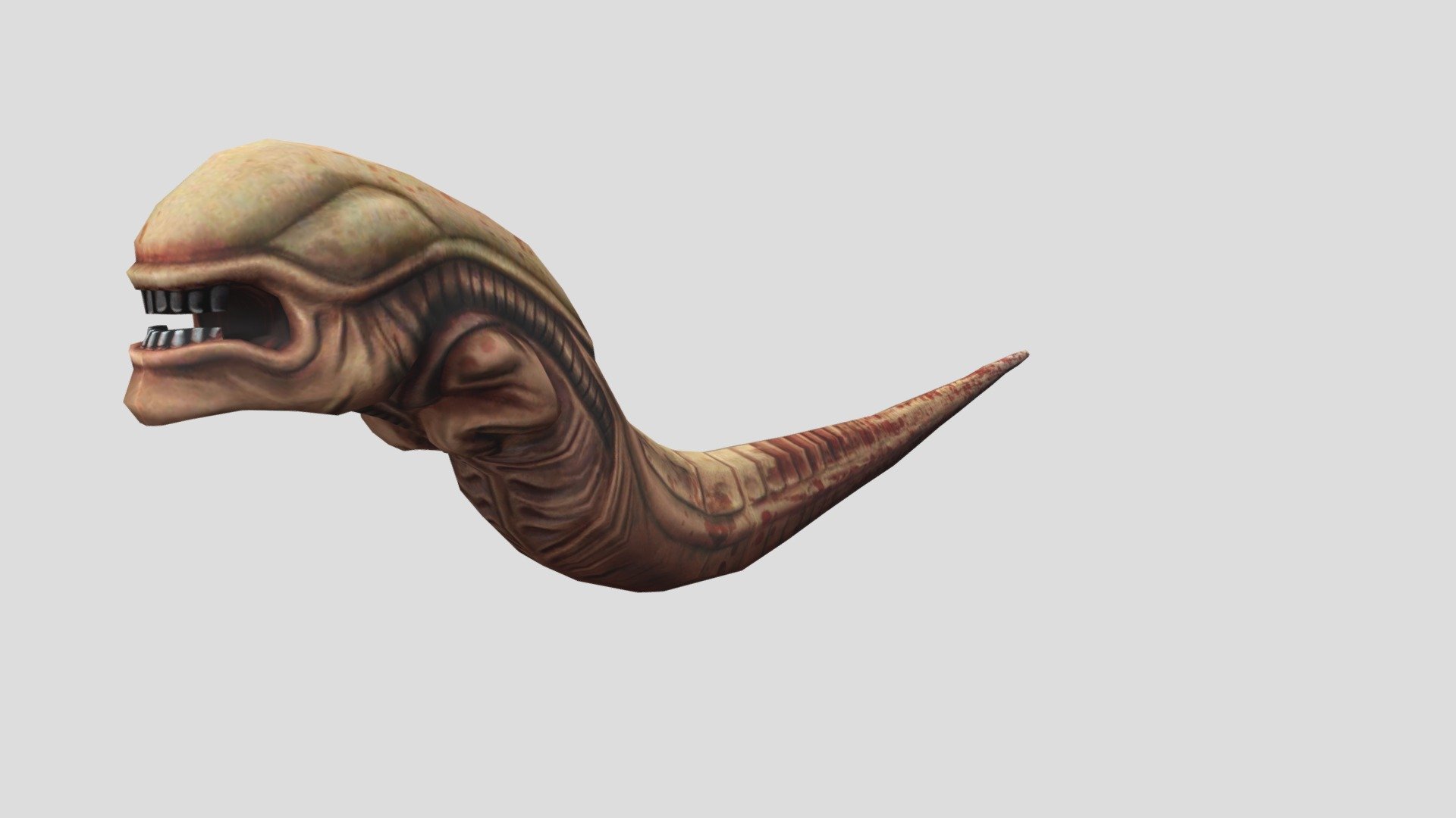 ChestBurster - Download Free 3D model by Love me pls (@LoveMeToo ...