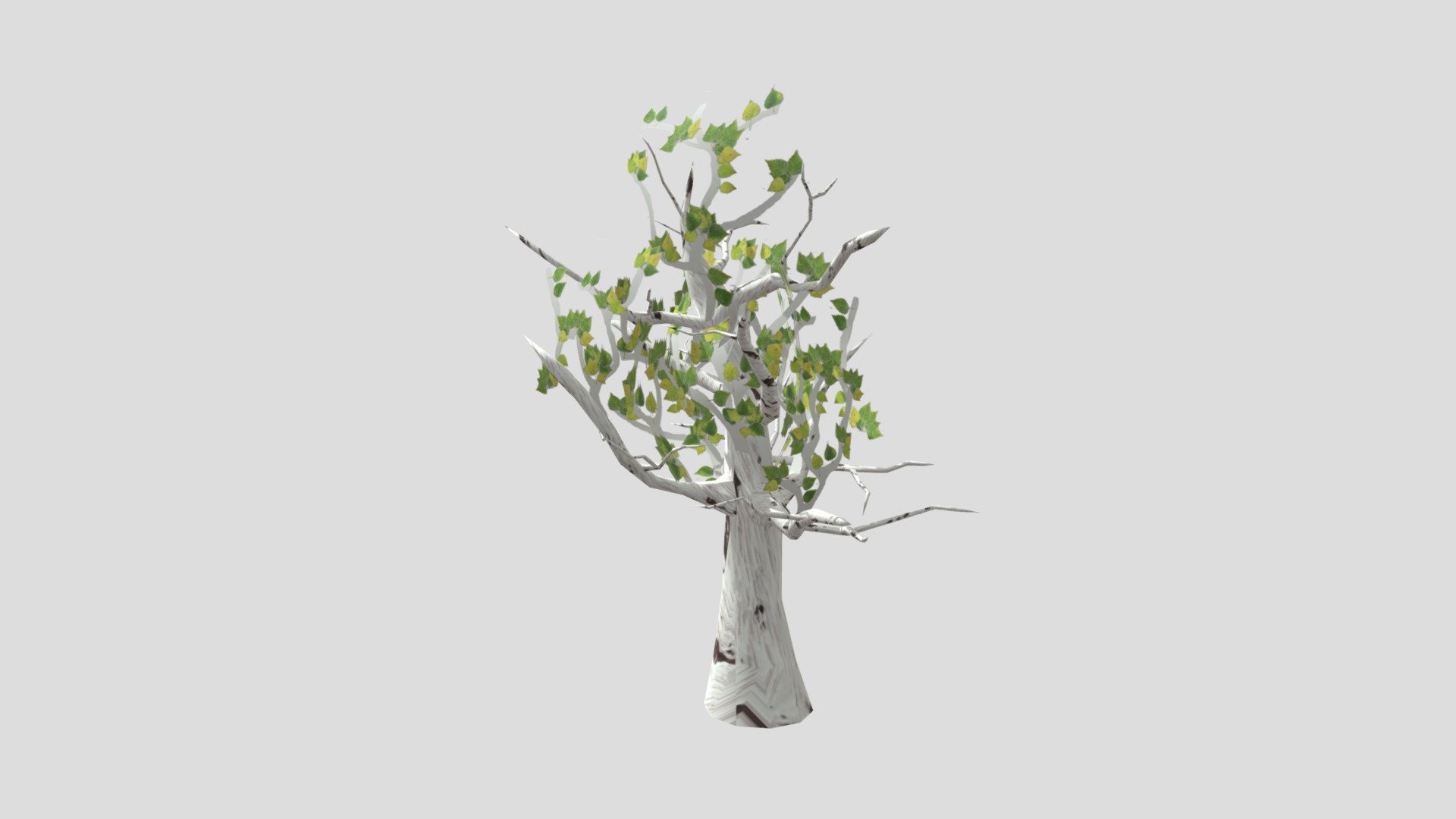 Tree Birch - 3D model by ethan.ross.j [ab7dcca] - Sketchfab