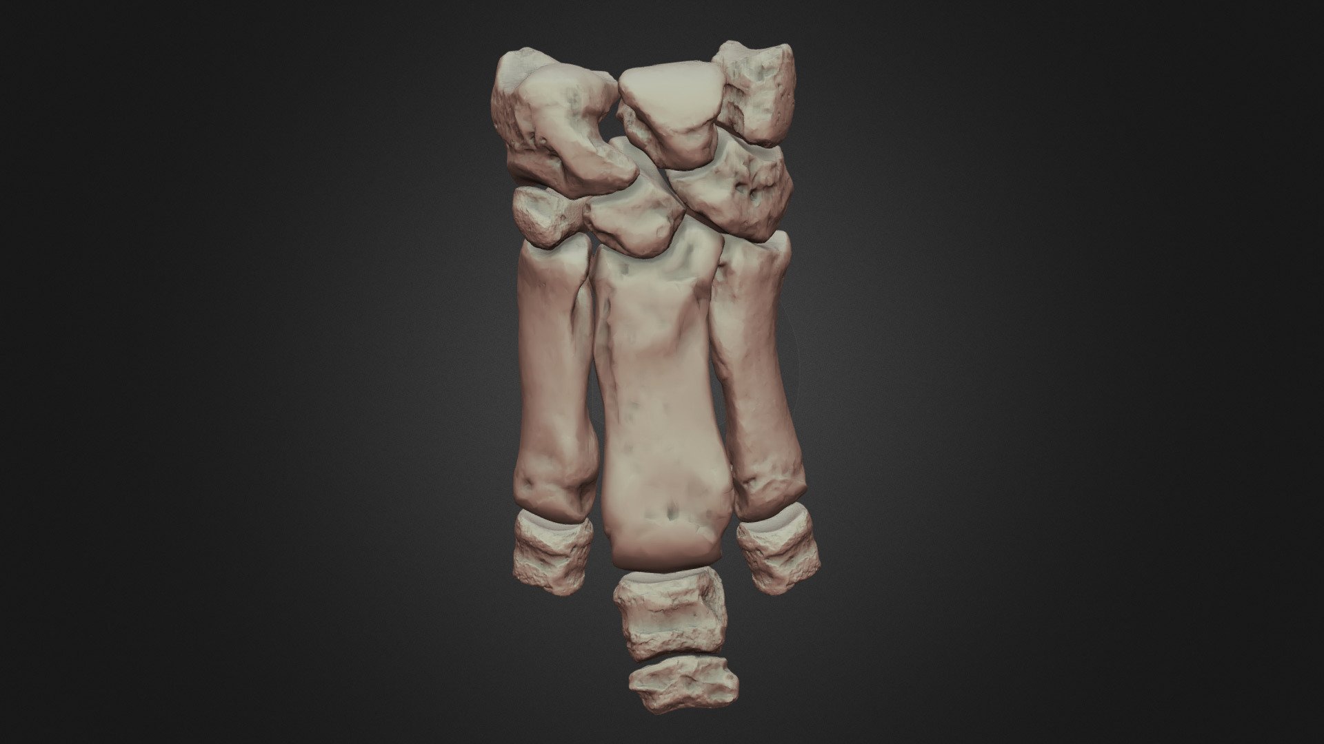 Woolly Rhino Hand Composite - Buy Royalty Free 3D model by Olof Moleman ...